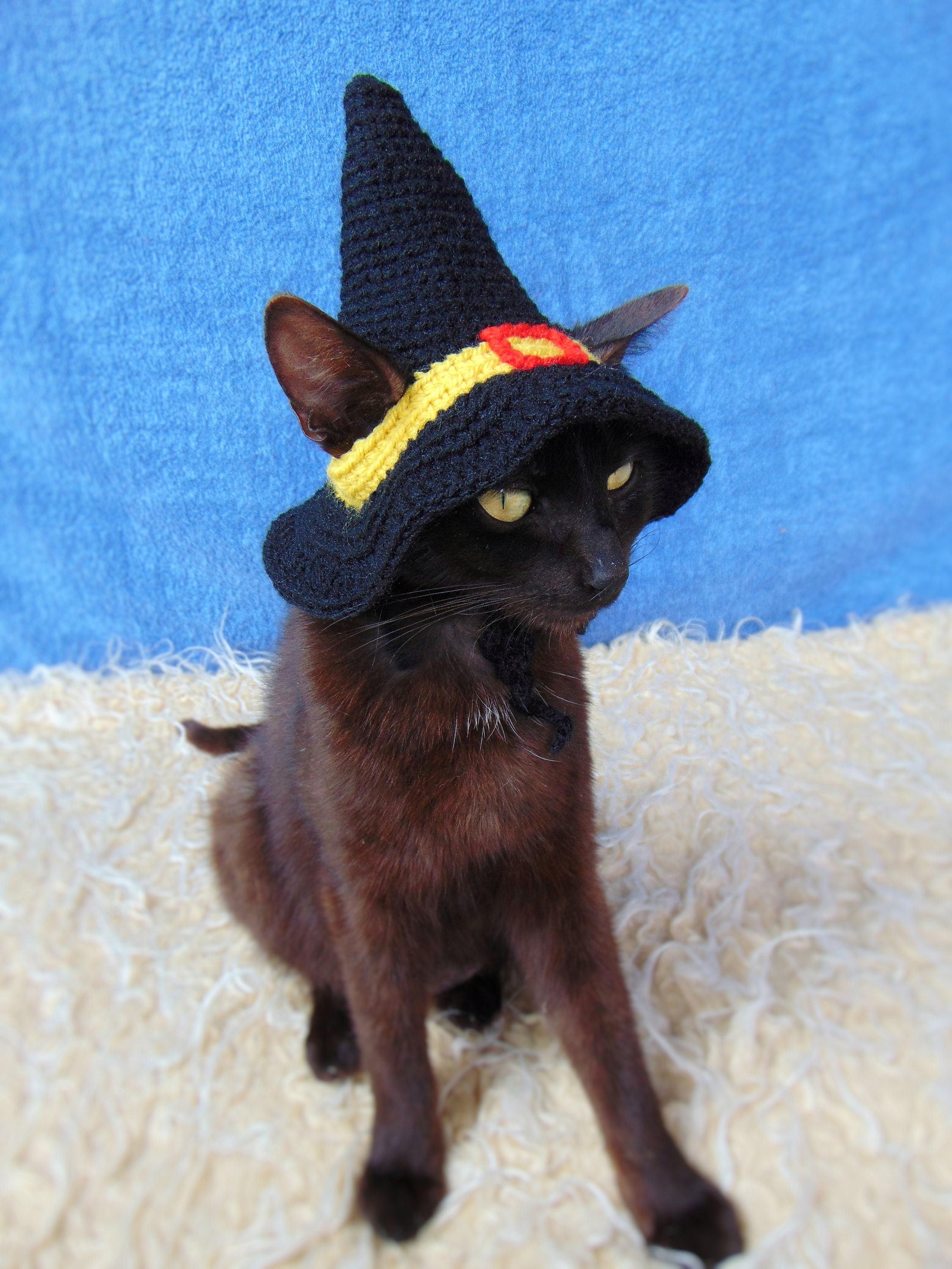 Witch Hat for Cat Halloween Pet Costume Crocheted Witch Hat - Etsy