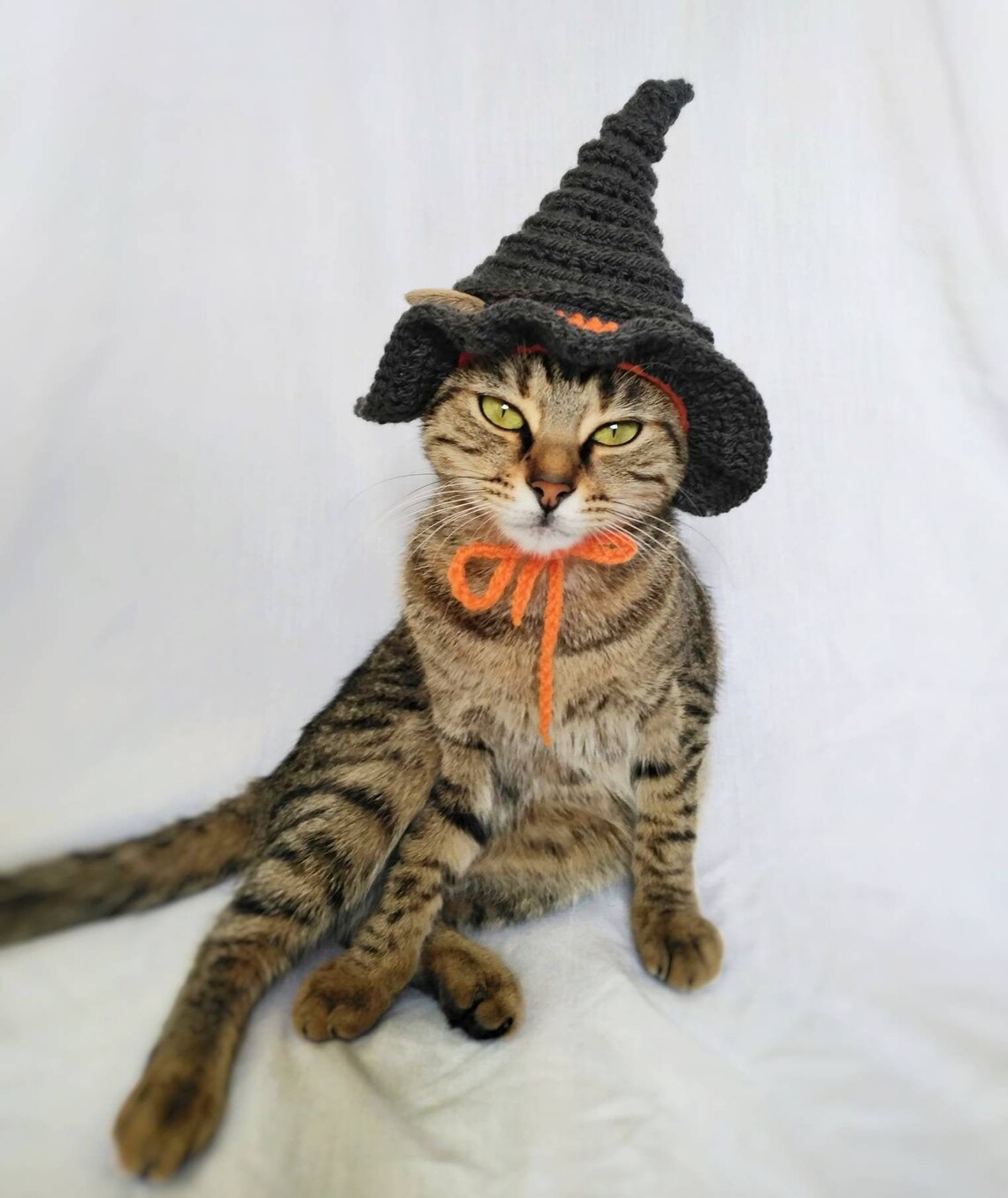 Witch Hat for Cat Halloween Witch Pet Costume Fairy Cat - Etsy