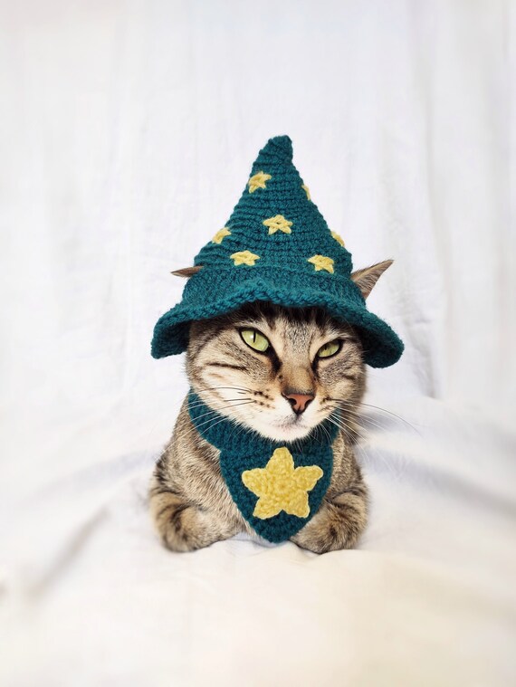 Wizard Pet Costume Wizard Costume for Cat Halloween Cat Hat | Etsy
