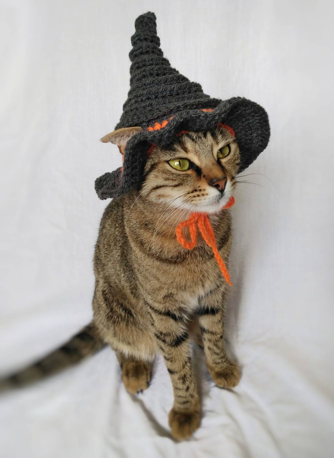 Witch Hat for Cat Halloween Witch Pet Costume Fairy Cat - Etsy Canada