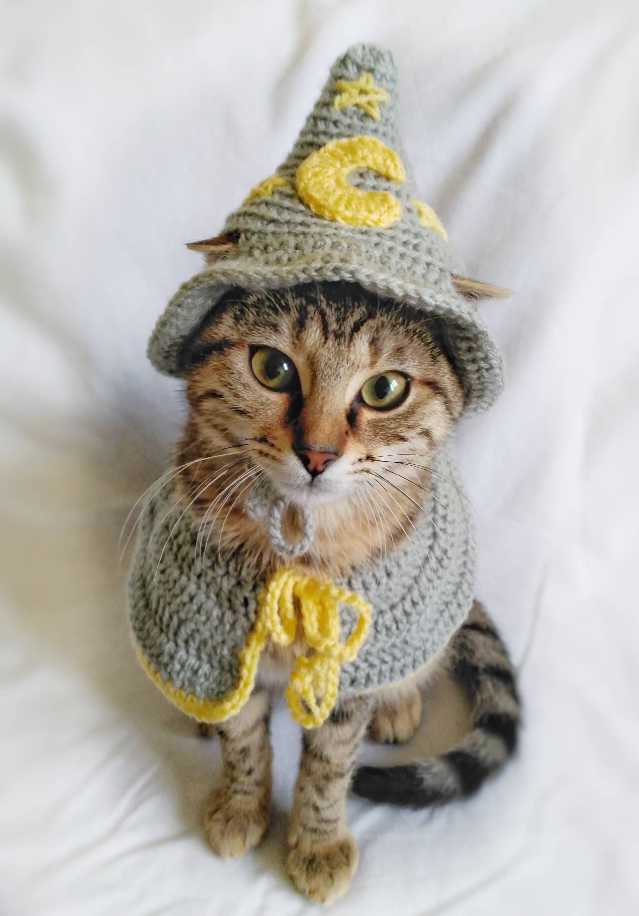 Wizard Costume for Cat Wizard Hat for Cat Wizard Pet Costume - Etsy Ireland