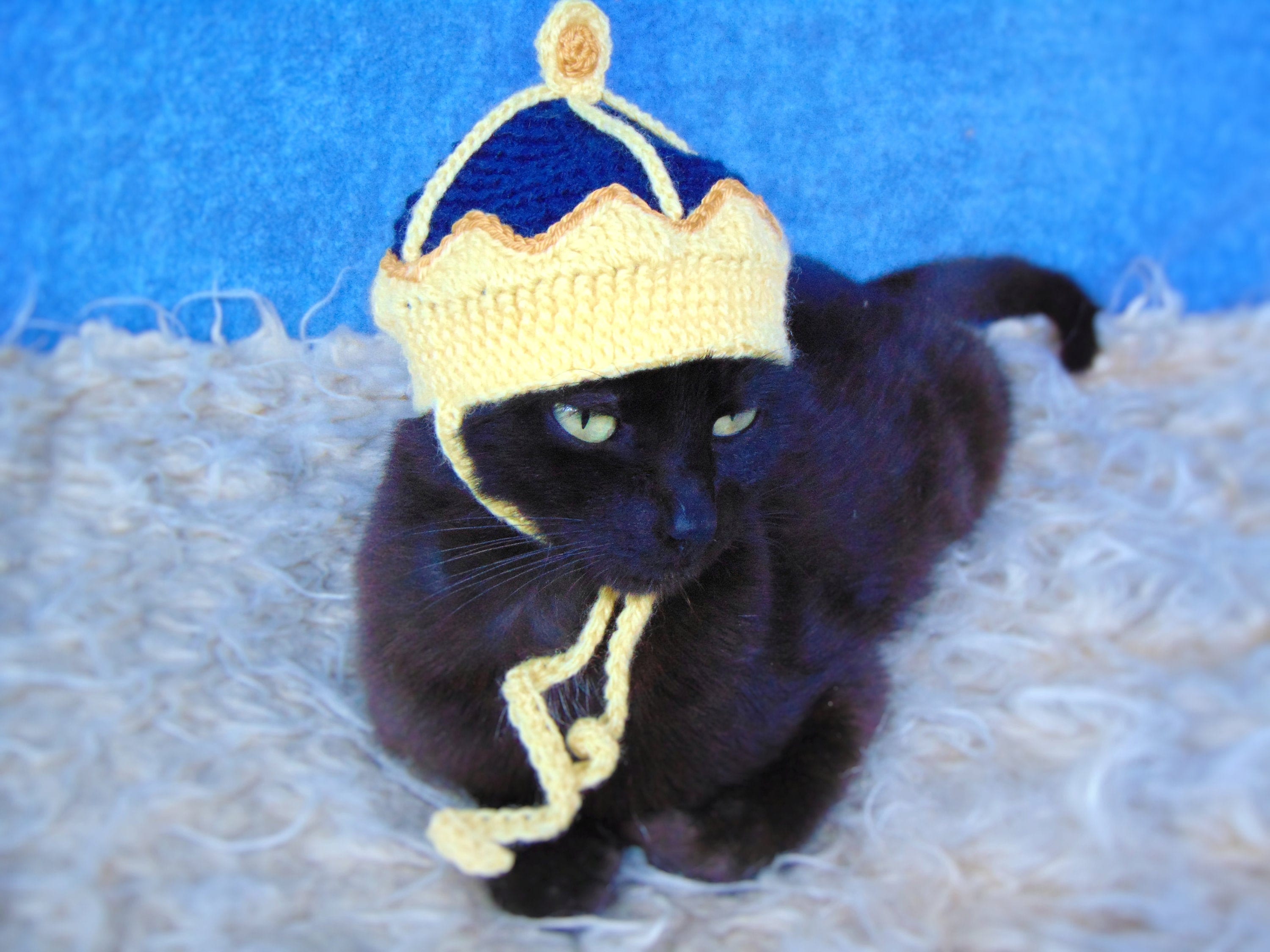 Crown Hat for Cat Crown Pet Costume Halloween Crown Cat - Etsy