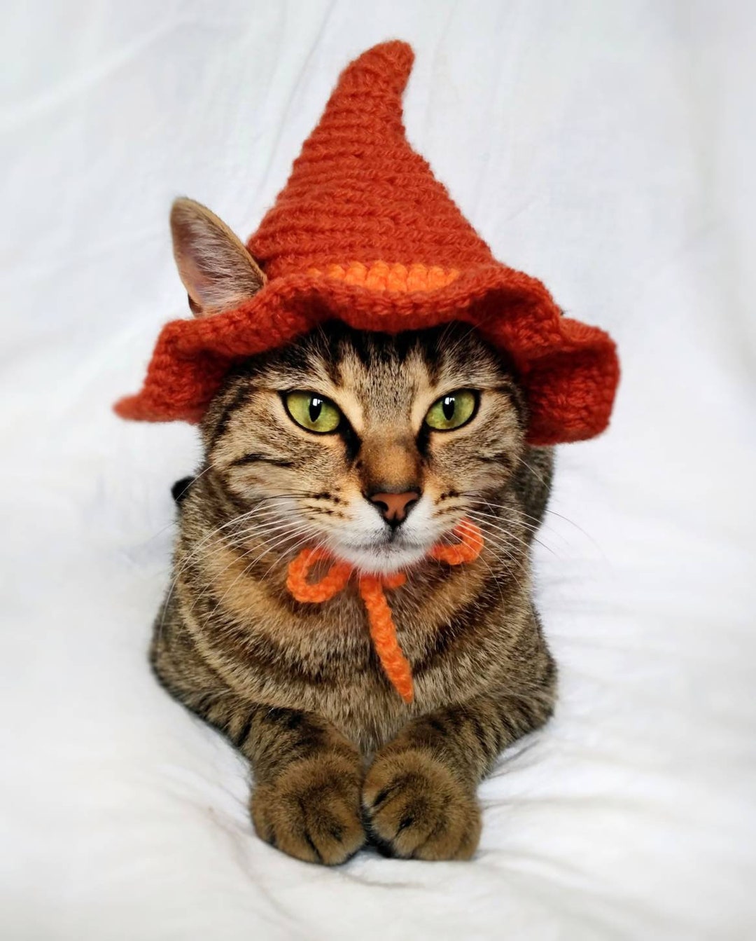 Witch Hat for Cat, Witch Pet Costume, Halloween Witch Kitten Hat, Cat ...