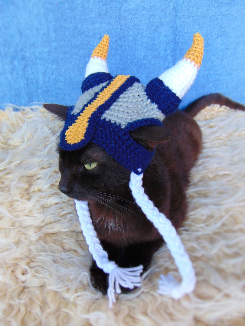 Viking Hat for Cat Viking Cat Helmet Halloween Pet Costume - Etsy