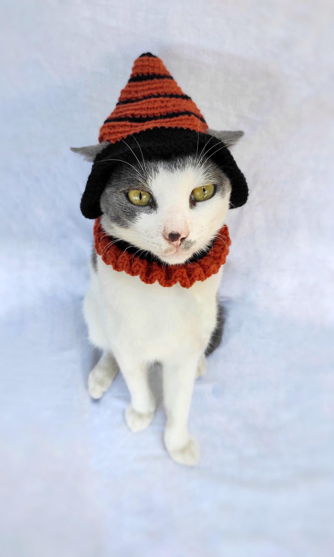 Halloween Pet Costume, Costume for Cat, Witch Hat and Ruffle Collar ...