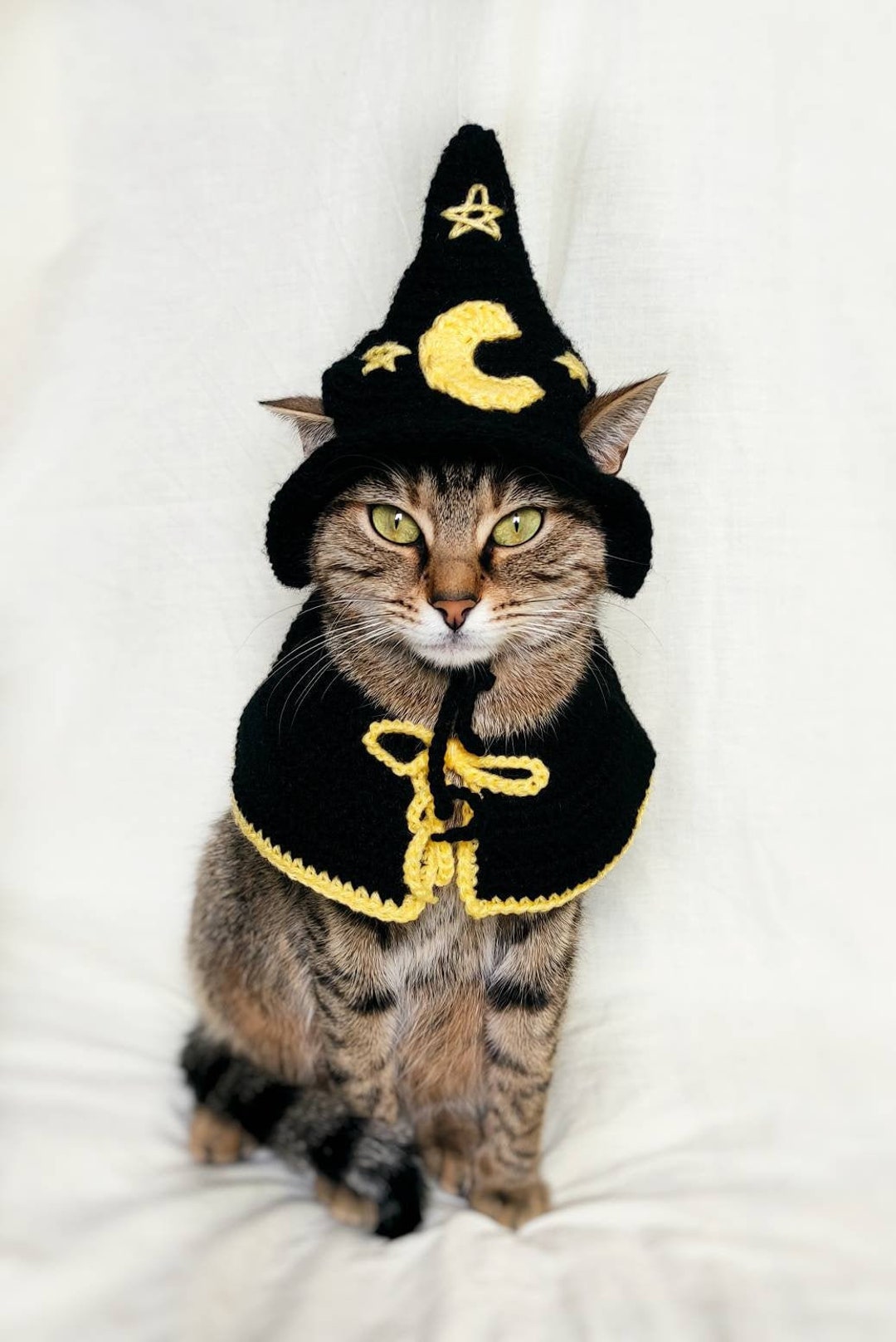 Wizard Pet Costume, Wizard Costume for Cat, Halloween Cat Hat, Wizard ...