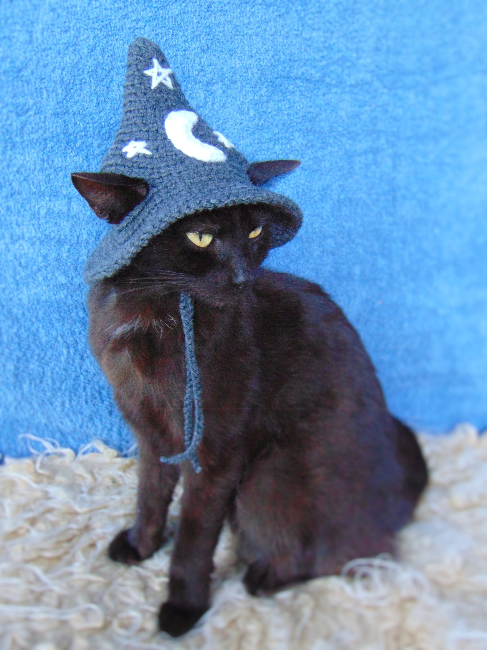 Dark Grey Wizard Hat for Cat Halloween Wizard Pet Costume - Etsy