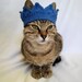 Crown for Cat, Cat Headpiece, Kitten Crown, Cat Outfit, Kitty ...