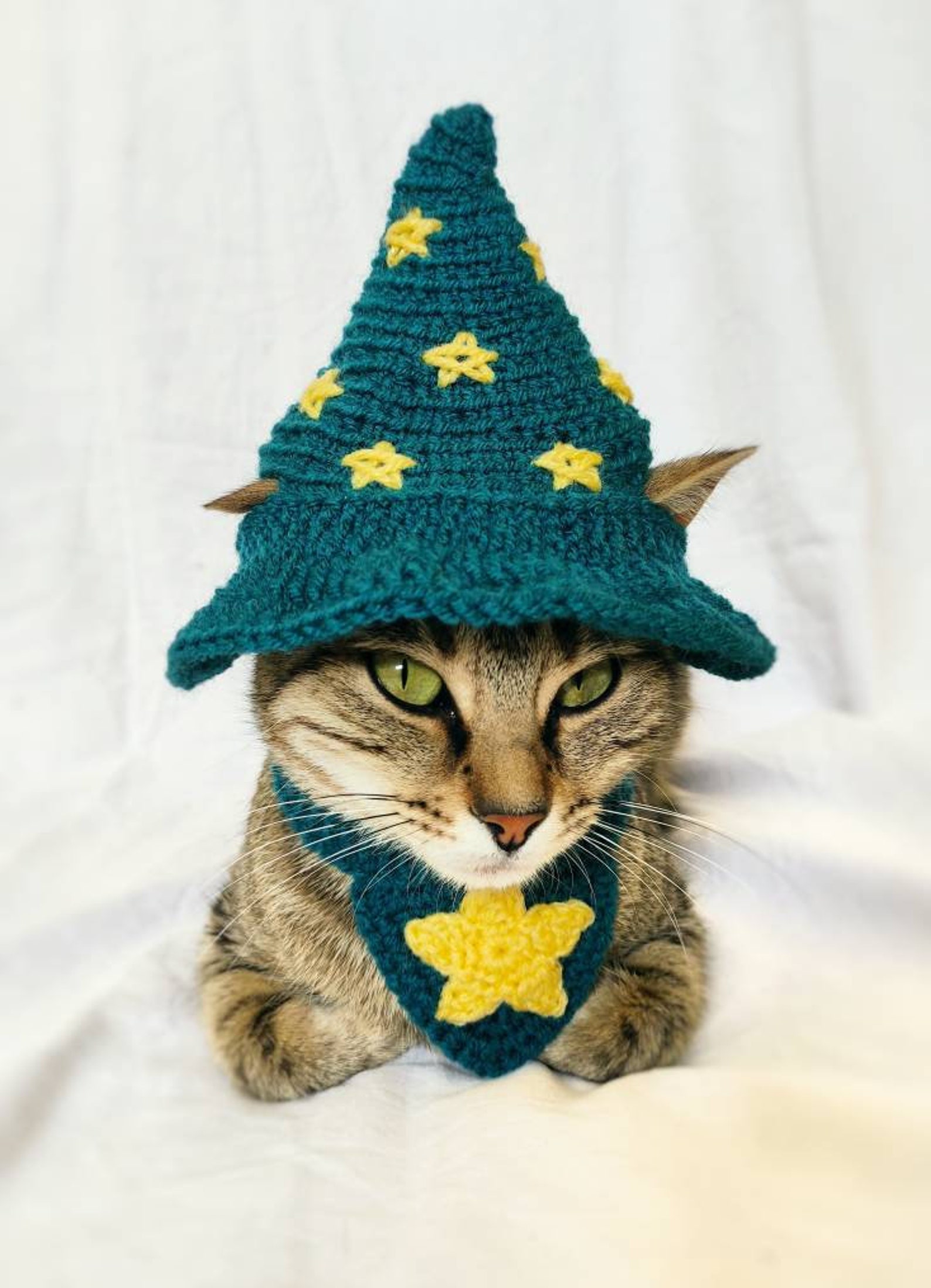 Wizard Pet Costume Wizard Costume for Cat Halloween Cat Hat | Etsy