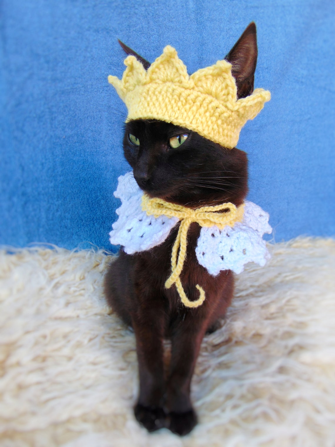 Crown and Collar for Cat, Princess Cat Outfit, Headpiece for Kitten ...