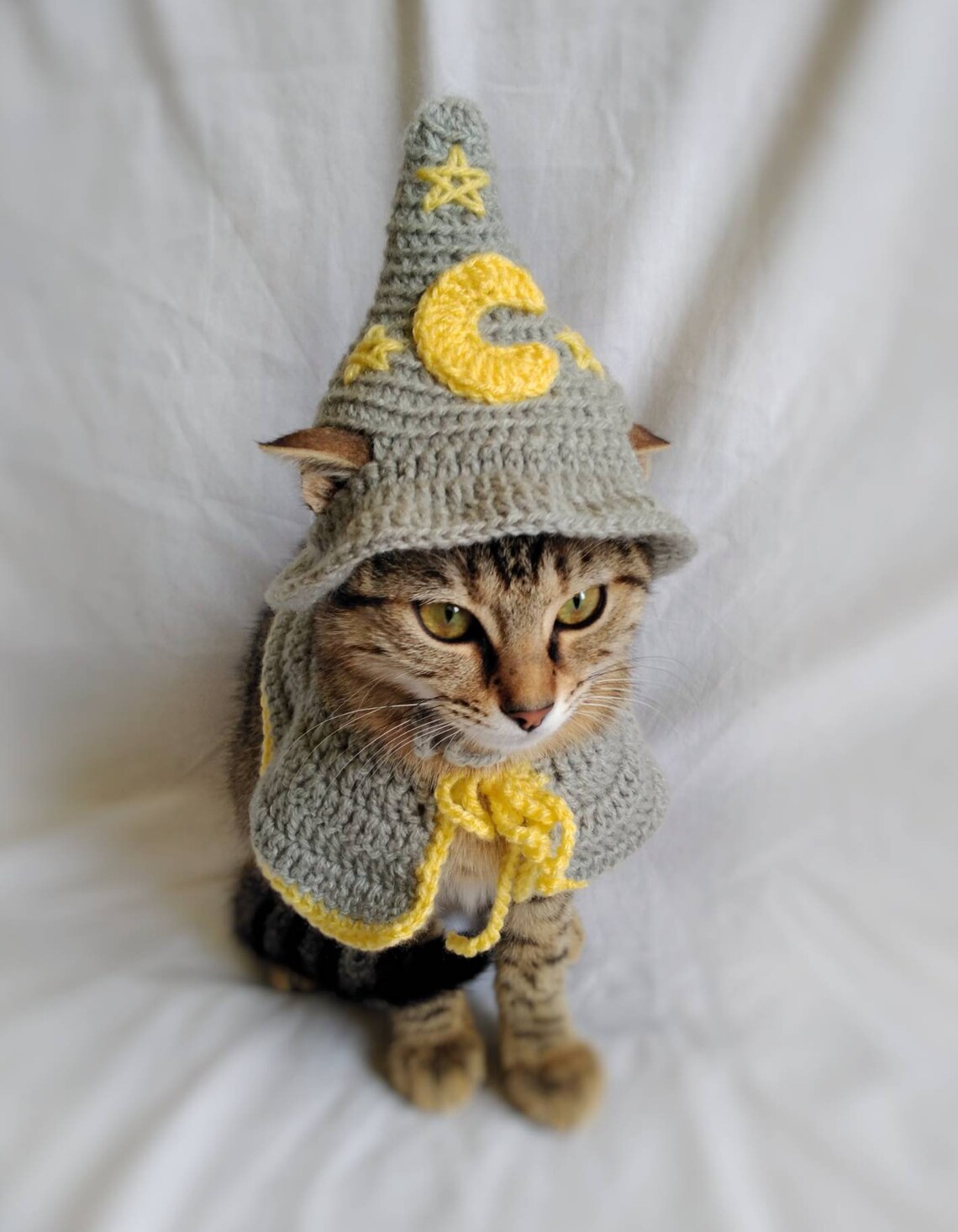 Wizard Costume for Cat Wizard Hat for Cat Wizard Pet Costume - Etsy UK