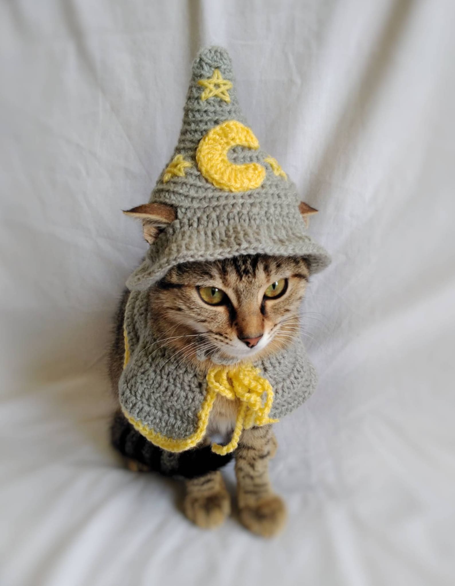 Wizard Costume for Cat Wizard Hat for Cat Wizard Pet Costume - Etsy UK