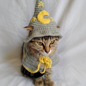 Wizard Costume for Cat, Wizard Hat for Cat, Wizard Pet Costume - Etsy