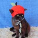 Apple Hat for Cat Halloween Apple Pet Costume Kitten Outfit - Etsy