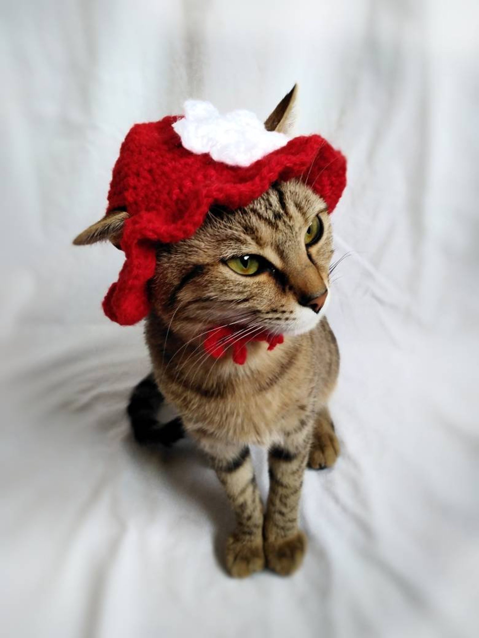 Summer Hat for Cat Red Brim Kitty Hat Flower Hats for Cats | Etsy
