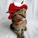 Summer Hat for Cat Red Brim Kitty Hat Flower Hats for Cats - Etsy