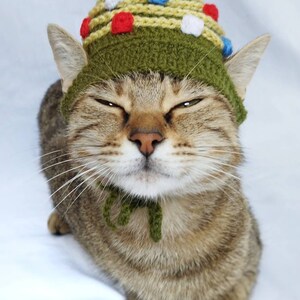 Christmas Tree Hat for Cat, Christmas Pet Costume, Kitten Accessories ...