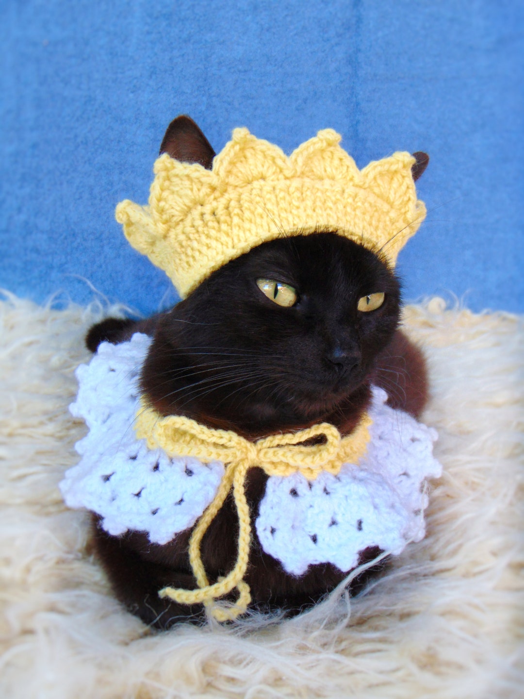 Crown and Collar for Cat, Princess Cat Outfit, Headpiece for Kitten ...