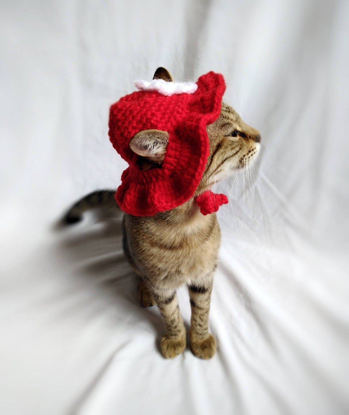 Summer Hat for Cat Red Brim Kitty Hat Flower Hats for Cats | Etsy