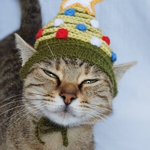 Christmas Tree Hat for Cat, Christmas Pet Costume, Kitten Accessories ...