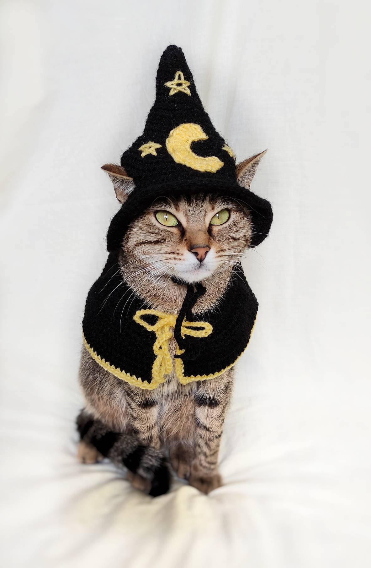 Wizard Pet Costume Wizard Costume for Cat Halloween Cat Hat - Etsy