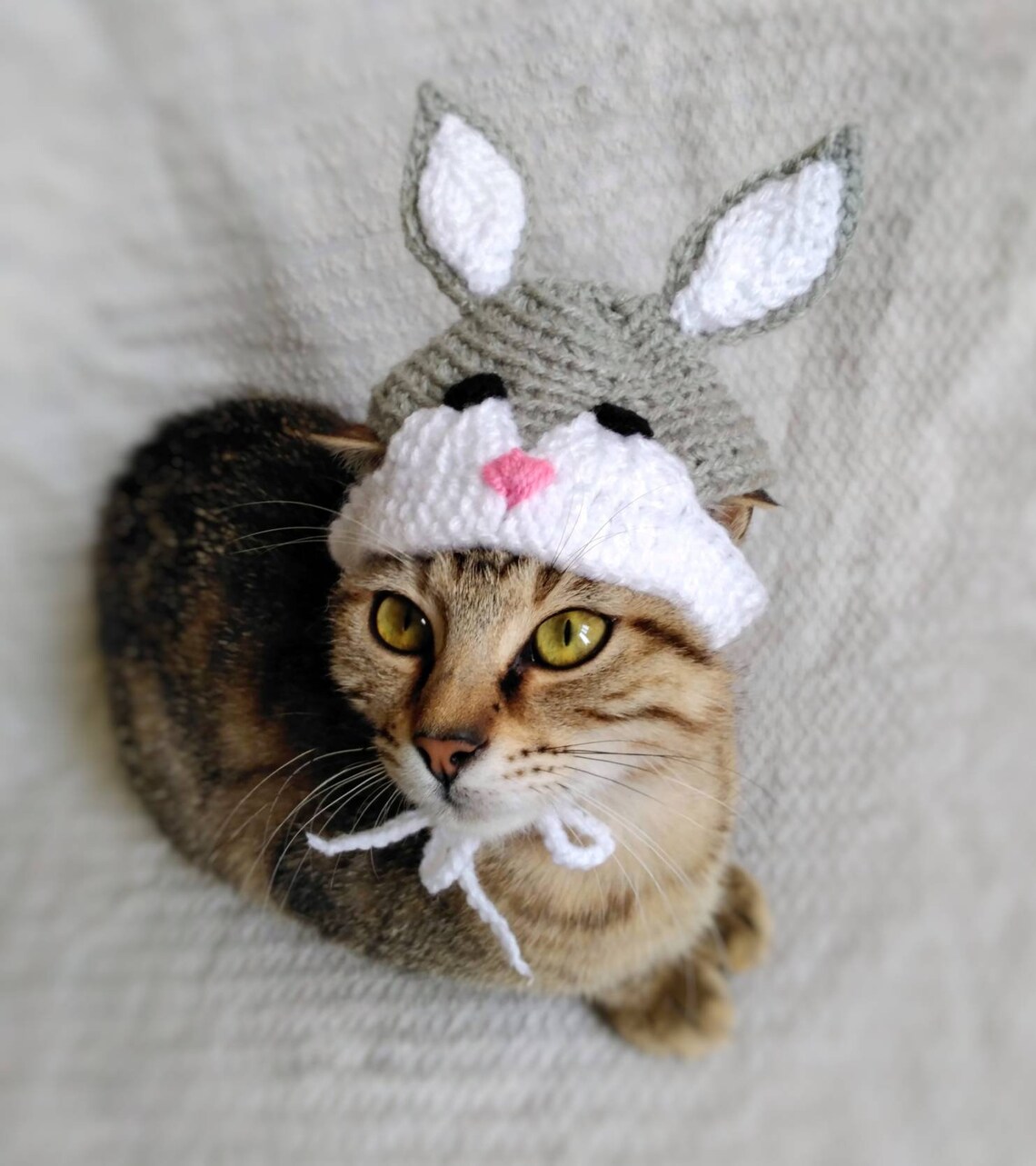 Bunny Hat for Cat Easter Bunny Pet Costume Spring Kitten - Etsy