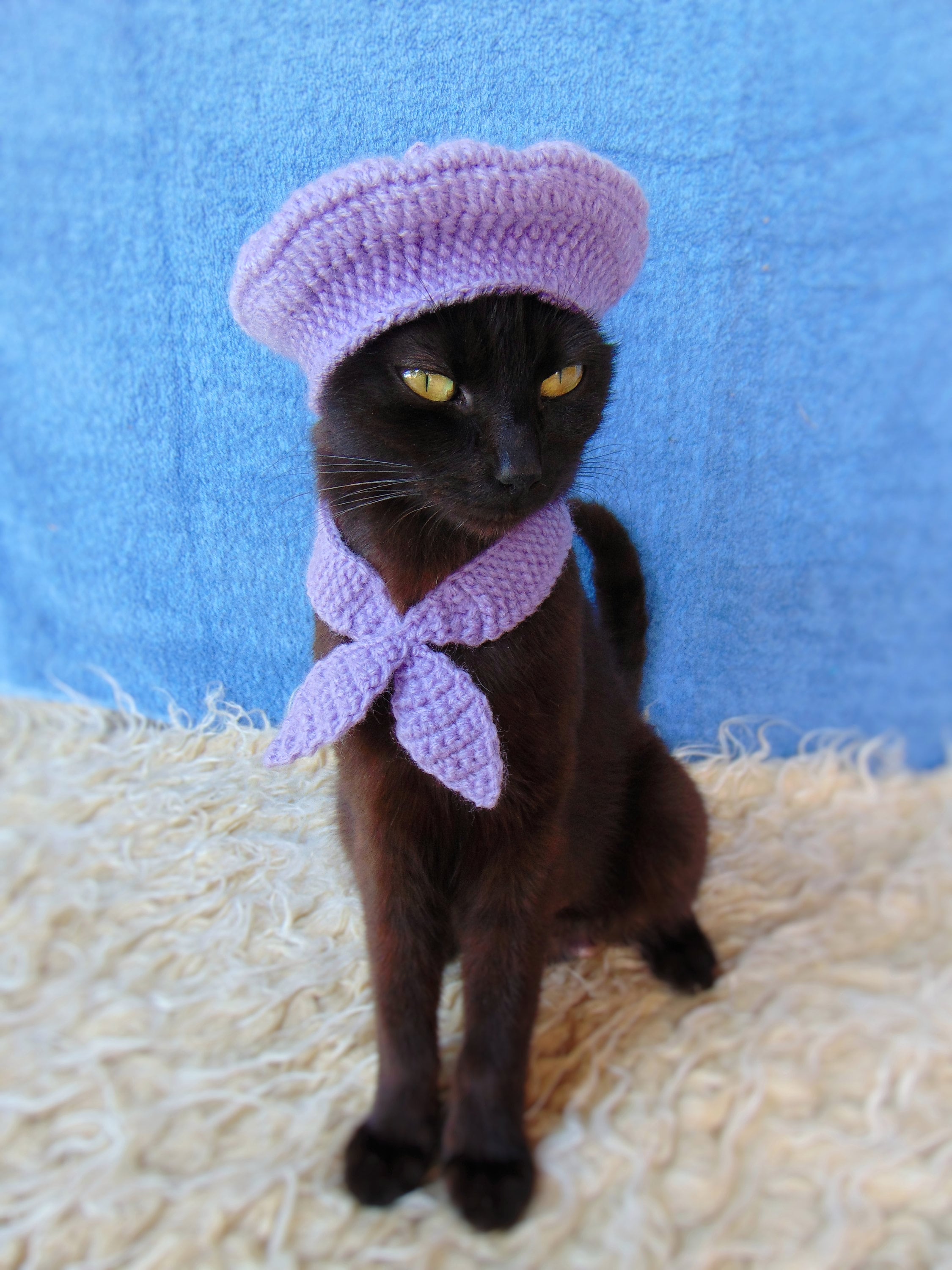 French Beret Hat and Scarf Beret Hat for Cat Cat Scarf | Etsy