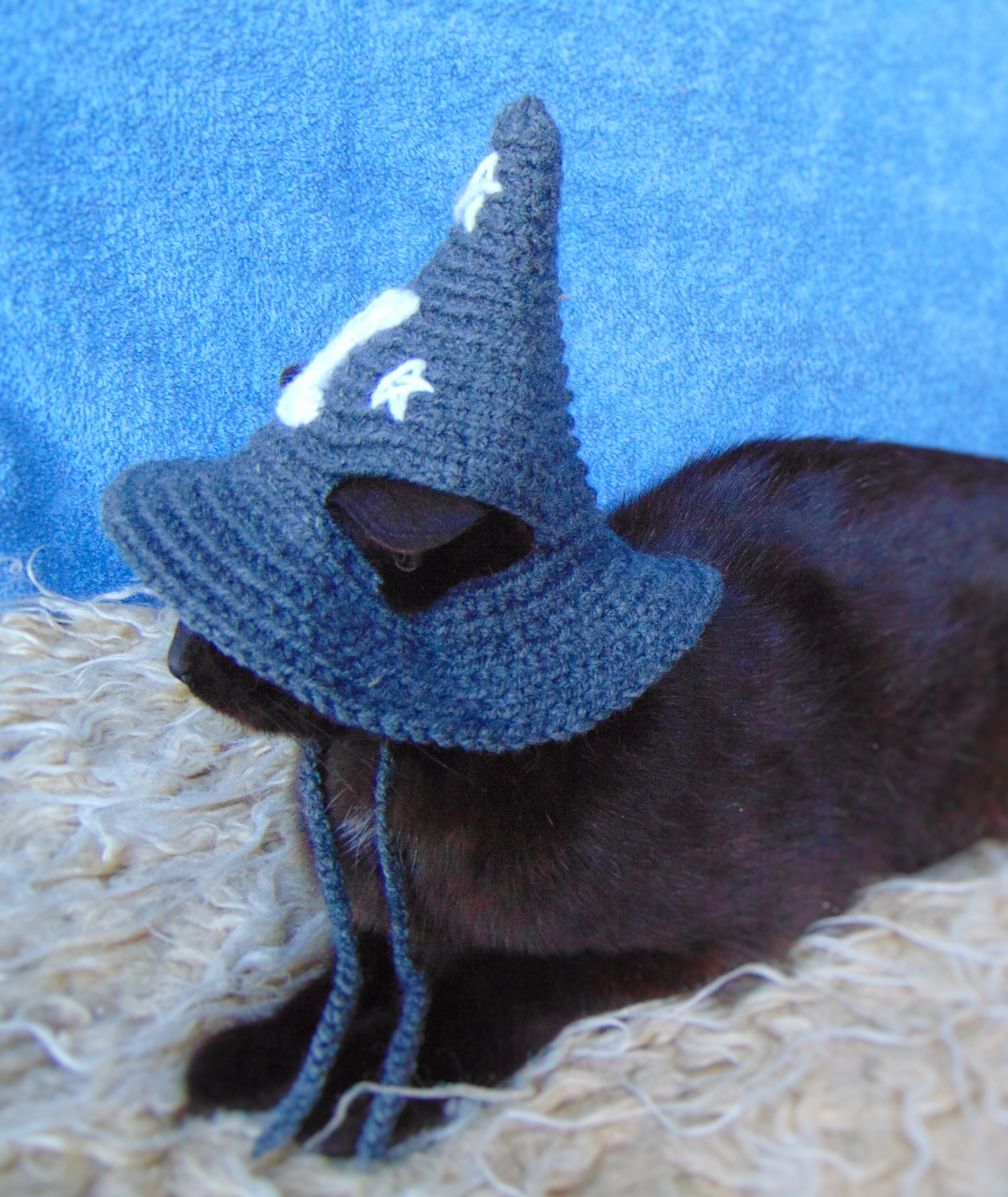 Dark Grey Wizard Hat for Cat Halloween Wizard Pet Costume - Etsy Canada