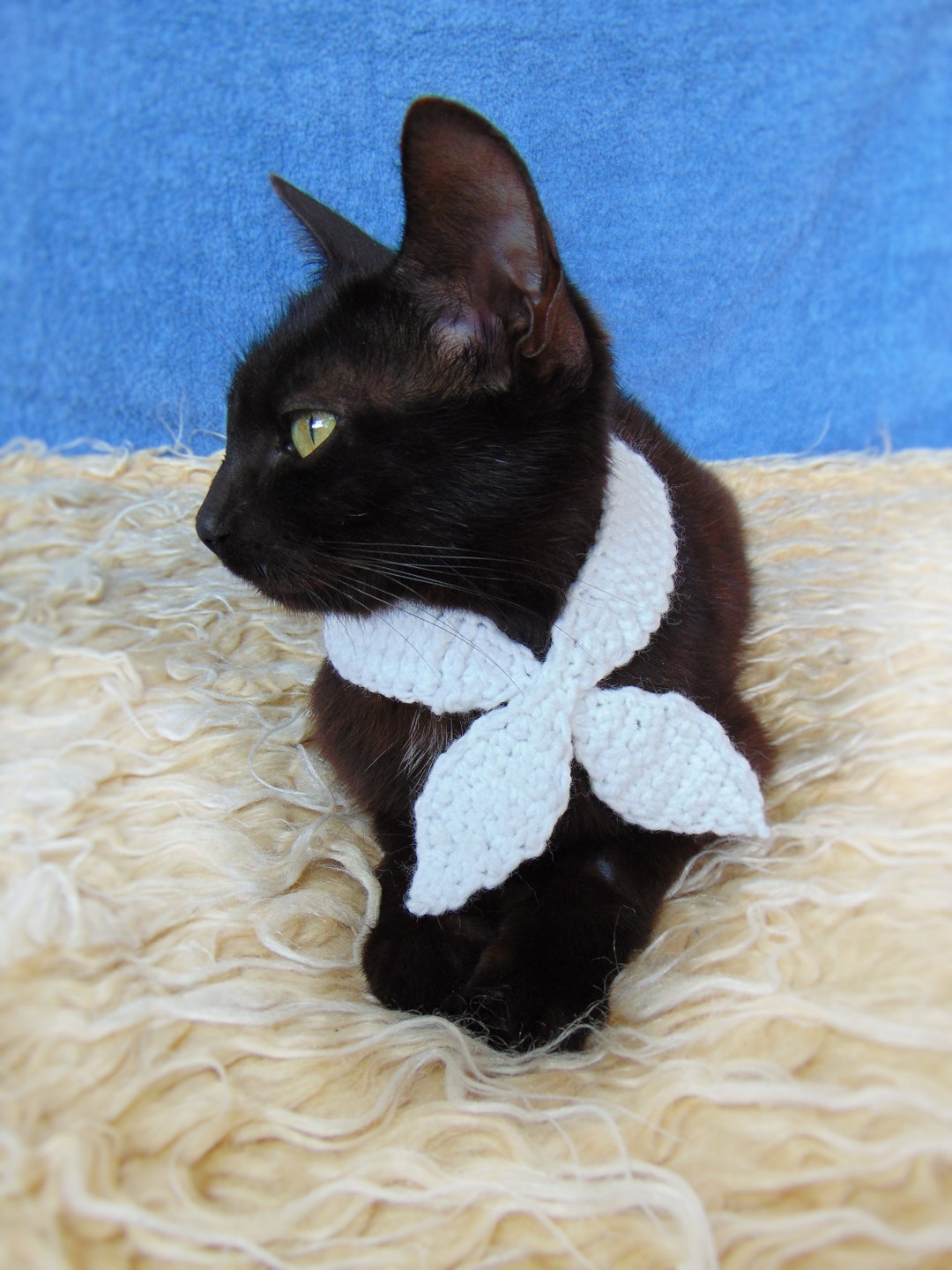 Scarf for Cat, Cat Scarf, Kitten Accessories, Crochet Feline Scarf ...