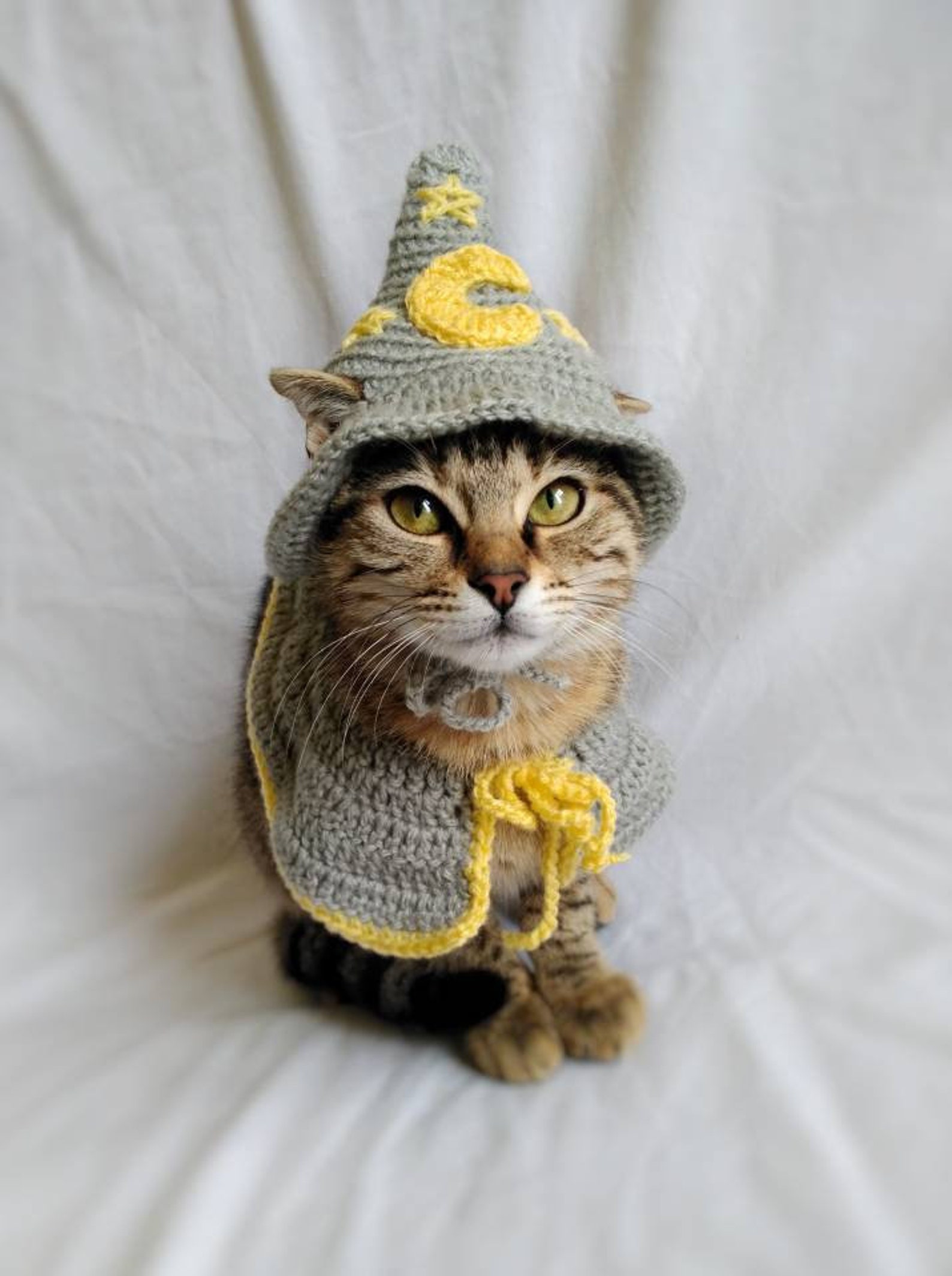 Wizard Costume for Cat Wizard Hat for Cat Wizard Pet Costume - Etsy UK