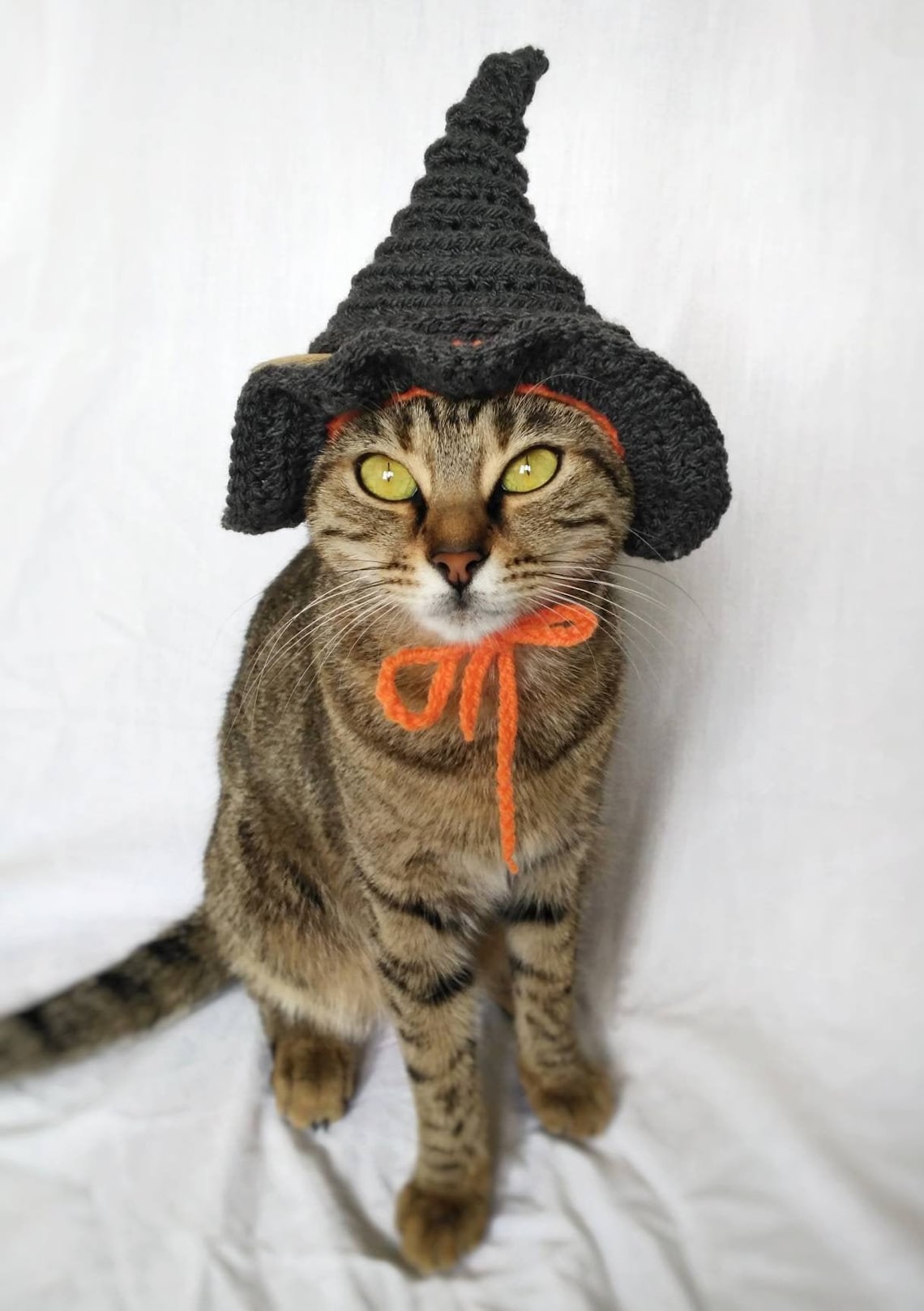 Witch Hat for Cat Halloween Witch Pet Costume Fairy Cat - Etsy