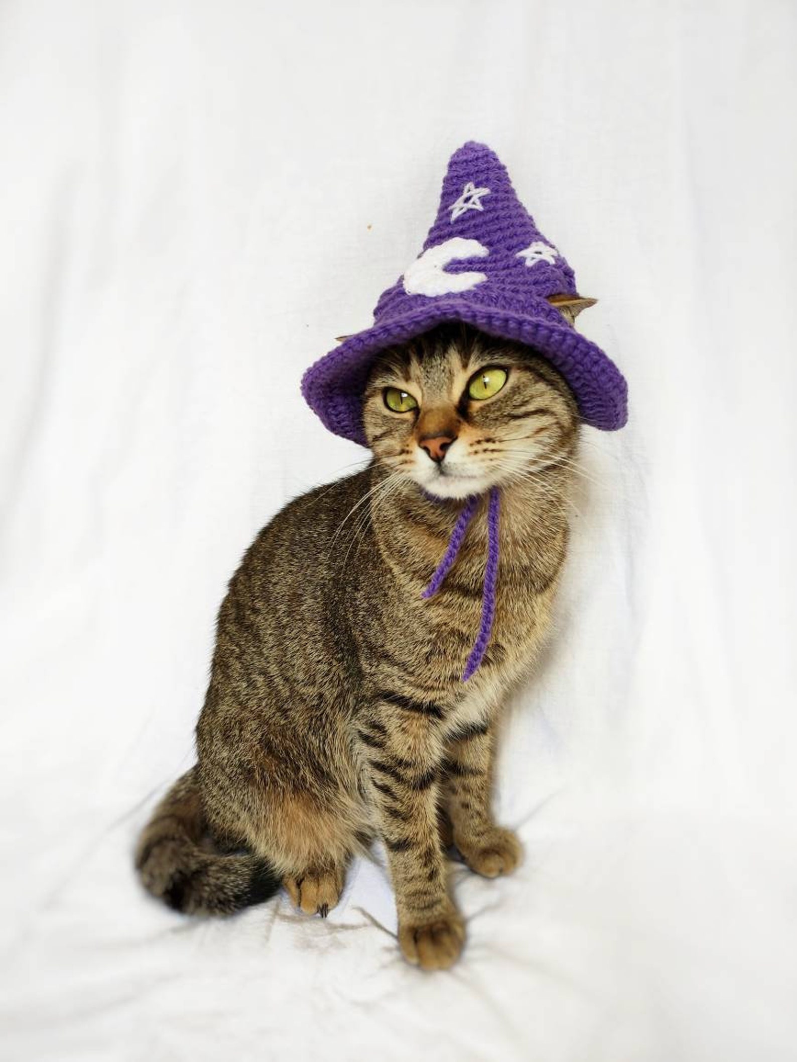 Dark Grey Wizard Hat for Cat Halloween Wizard Pet Costume - Etsy