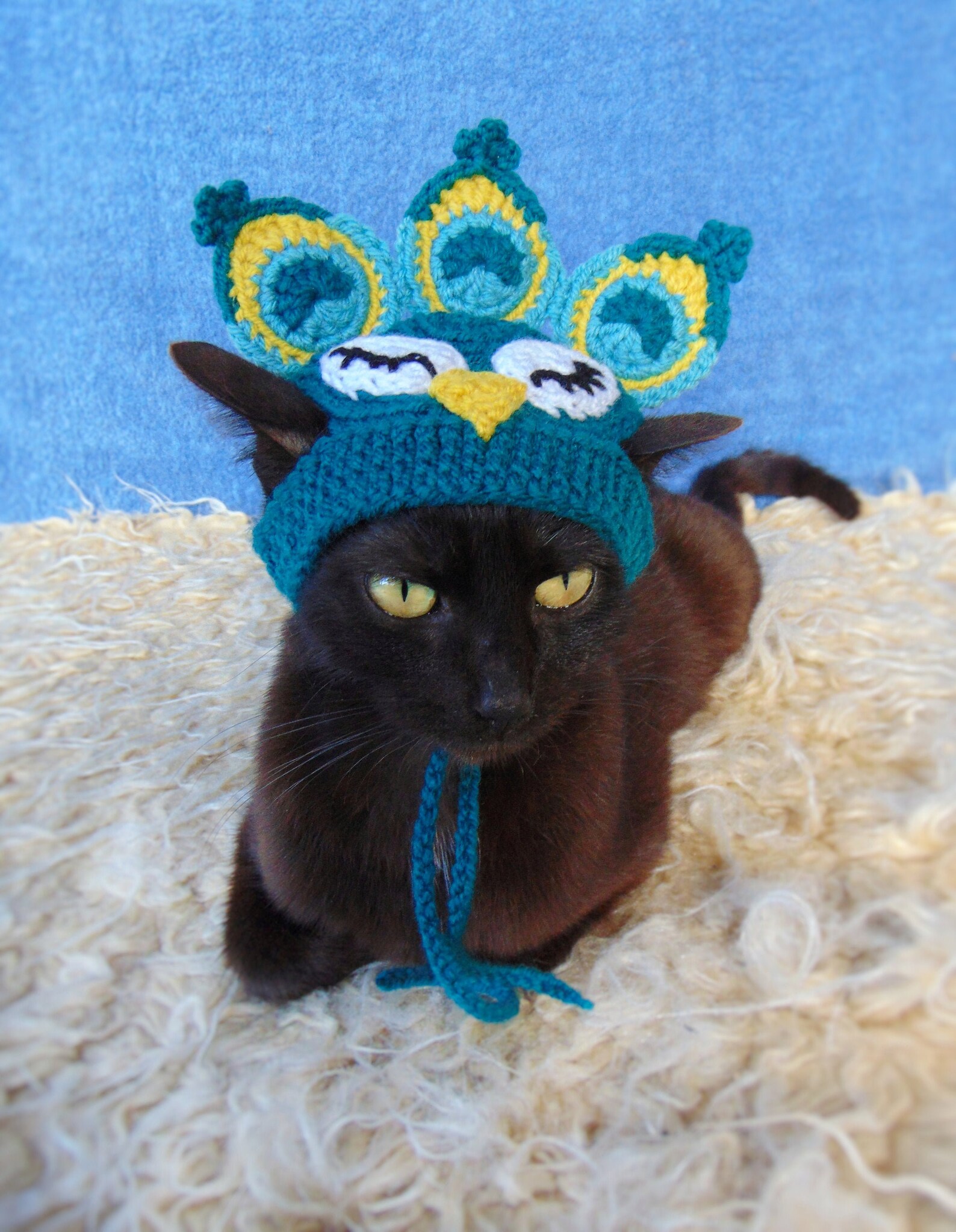 Peacock Hat for Cat Peacock Pet Costume Kitten Accessories - Etsy