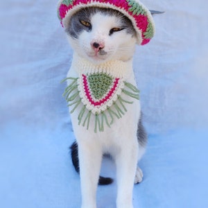 Sombrero Hat for Cat, Sombrero Hat and Bandanna Scarf, Pet Mexican ...