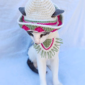 Sombrero Hat for Cat, Sombrero Hat and Bandanna Scarf, Pet Mexican ...