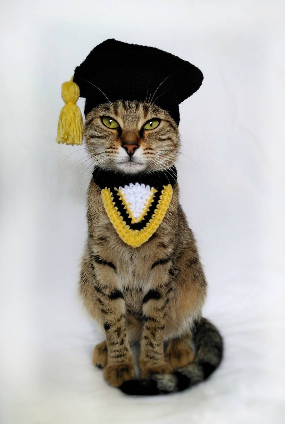 Graduation Costume for Cat, Graduation Cat Cap, Gift for Cat Lover, Cat ...