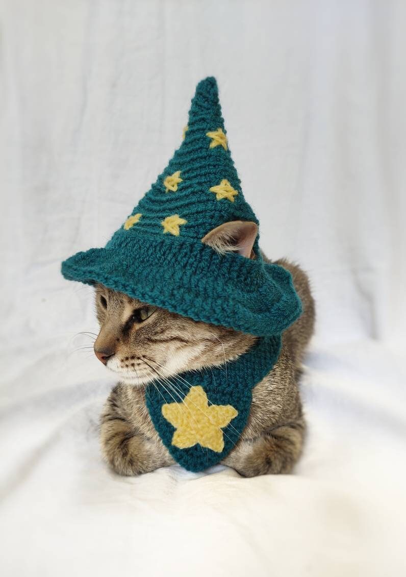 Wizard Pet Costume, Wizard Costume for Cat, Halloween Cat Hat, Wizard ...