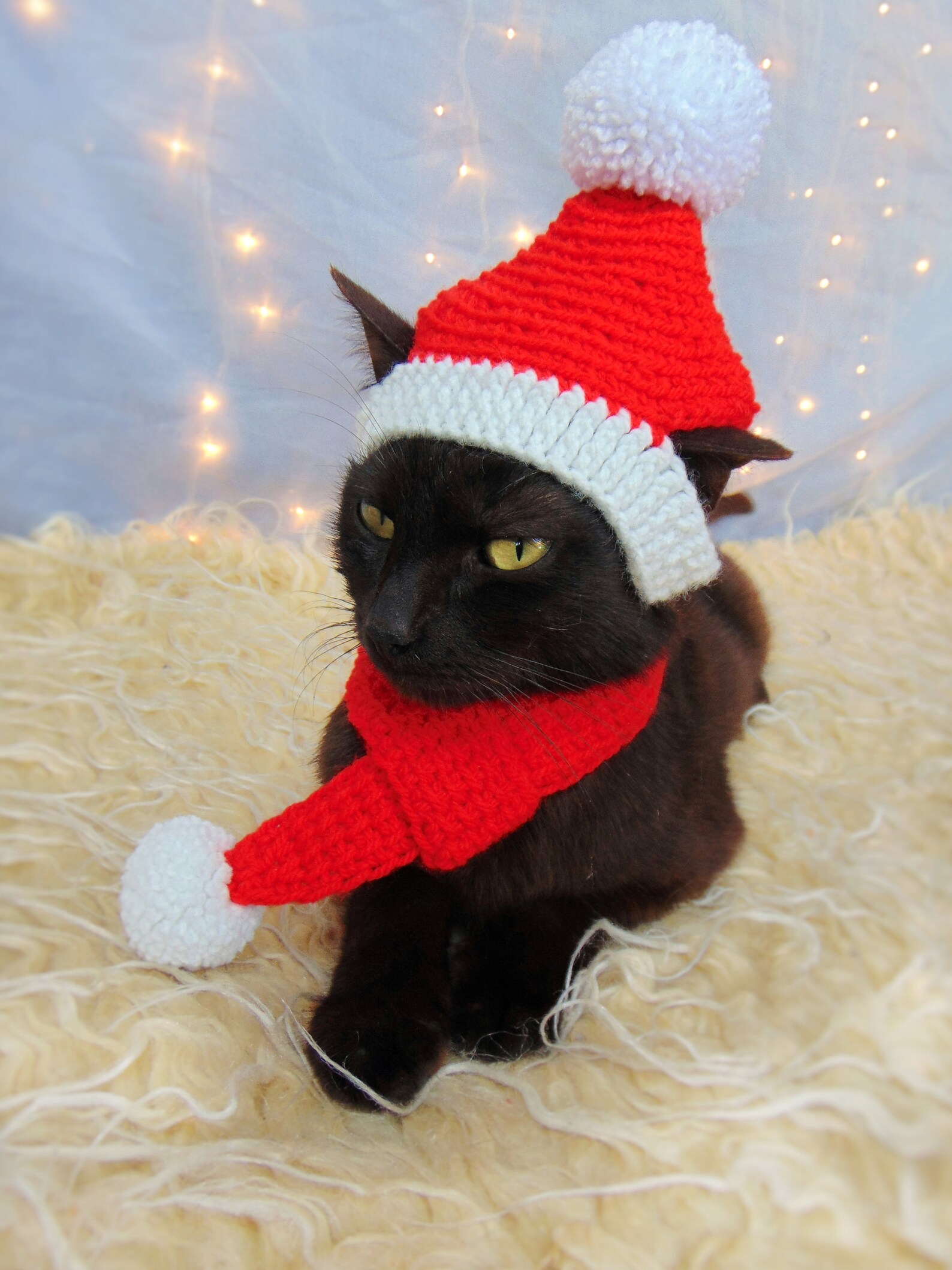 Santa Pet Costume, Christmas Cat Outfit, Santa Hat and Scarf for Kitten ...