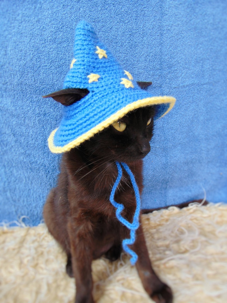 Wizard hat for cat Wizard pet costume Halloween kitten | Etsy