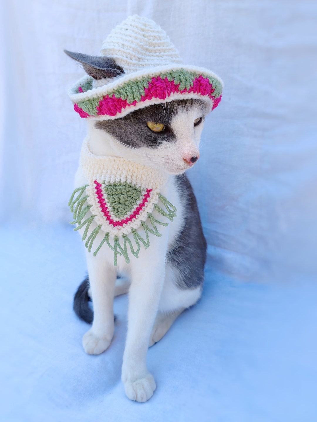 Sombrero Hat for Cat, Sombrero Hat and Bandanna Scarf, Pet Mexican ...