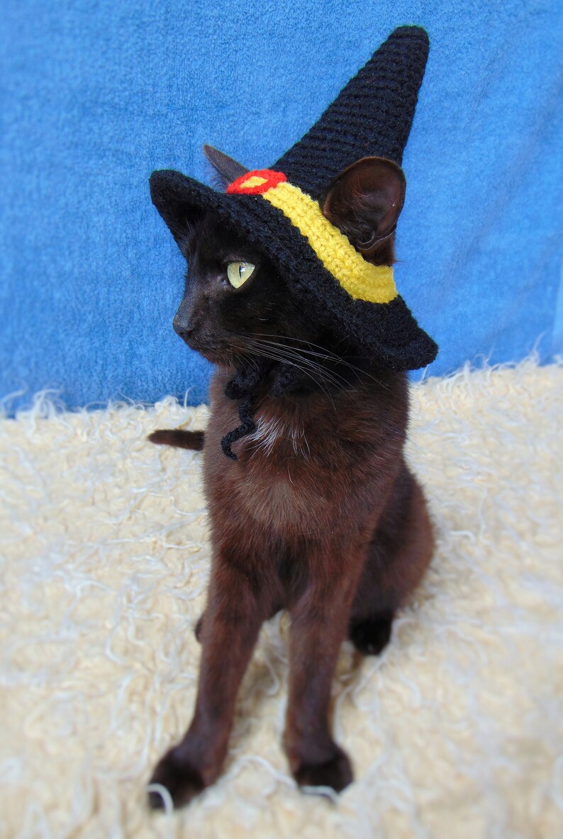 Witch Hat for Cat Halloween Pet Costume Crocheted Witch Hat - Etsy
