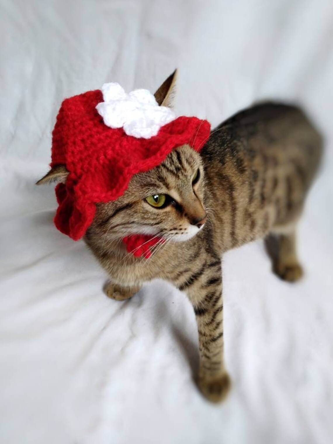 Summer Hat for Cat Red Brim Kitty Hat Flower Hats for Cats | Etsy