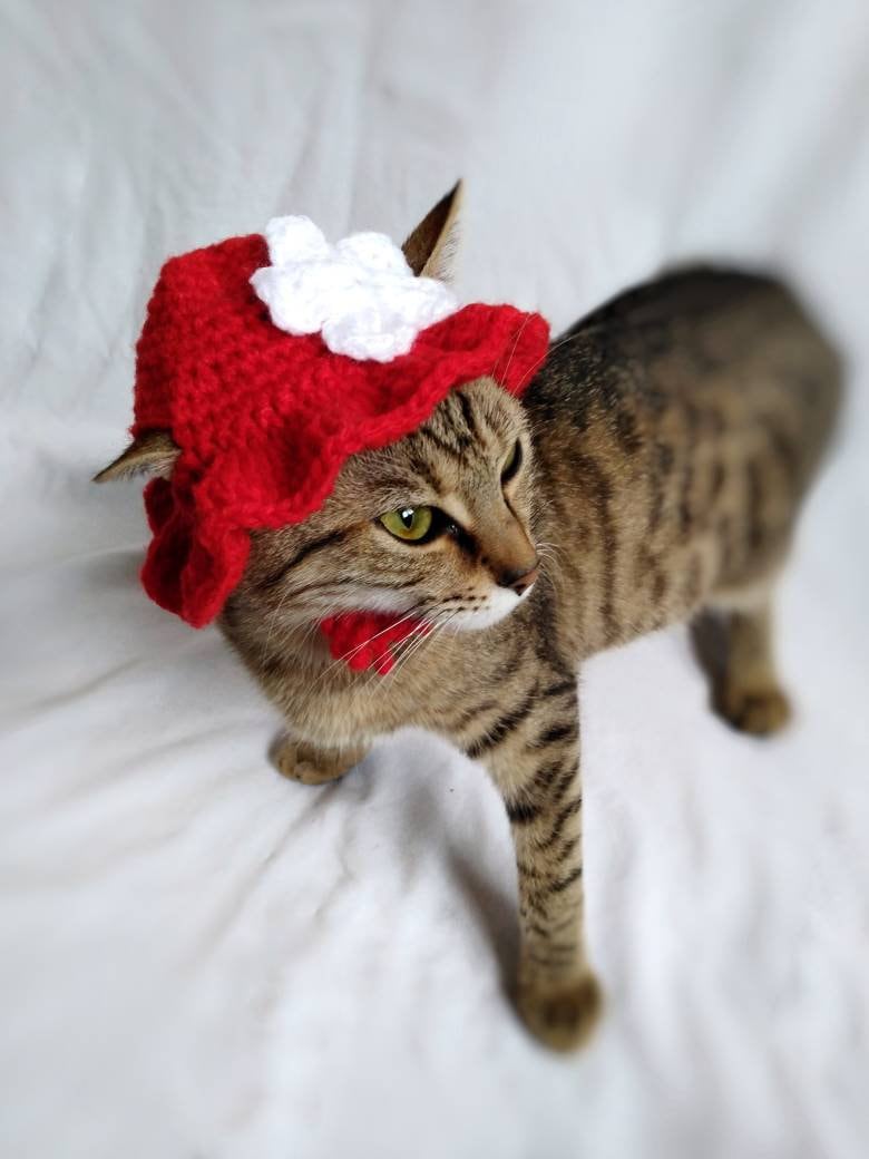 Summer Hat for Cat Red Brim Kitty Hat Flower Hats for Cats | Etsy