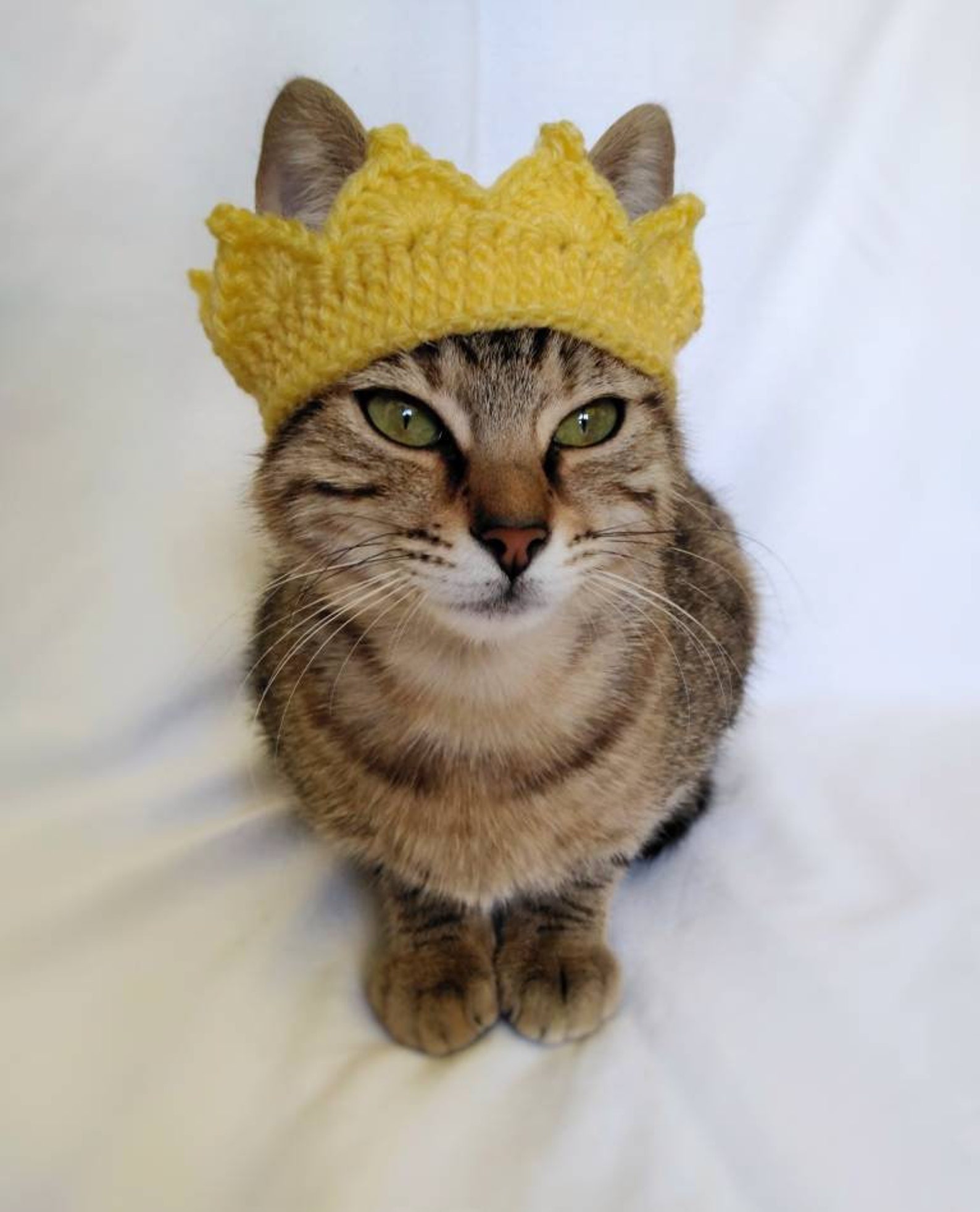 Crown for Cat Cat Headpiece Kitten Crown Cat Outfit Kitty - Etsy