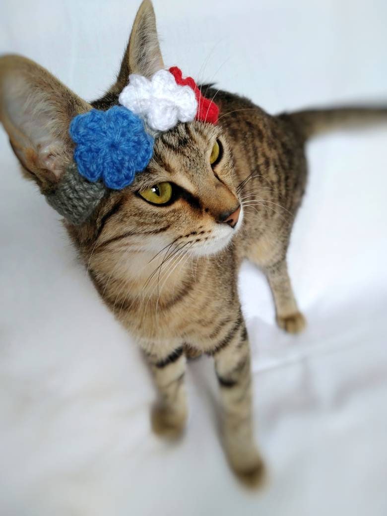 Adjustable Cat Flower Crown Cat Flower Headpiece 4th of July | Etsy