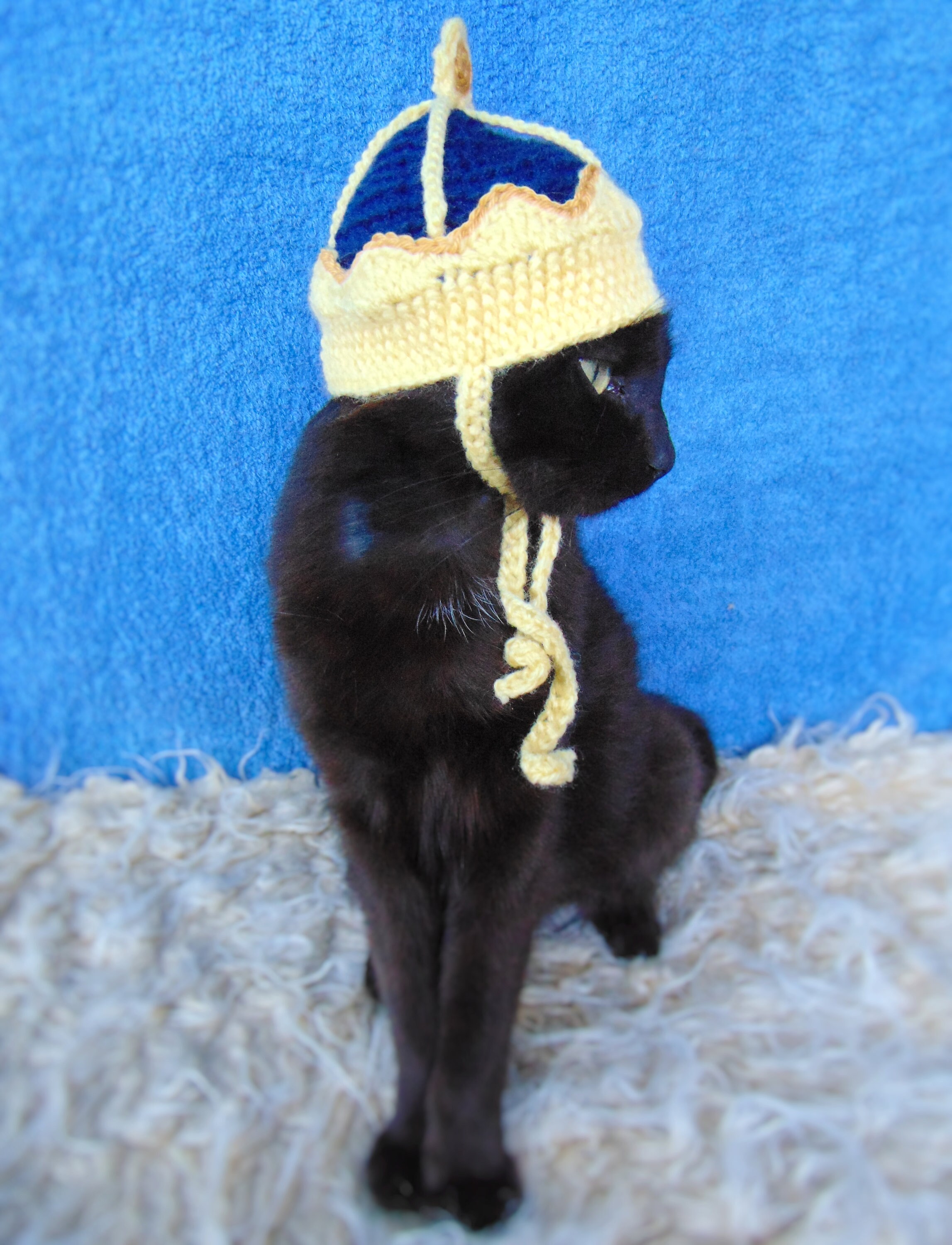 Crown Hat for Cat Crown Pet Costume Halloween Crown Cat - Etsy
