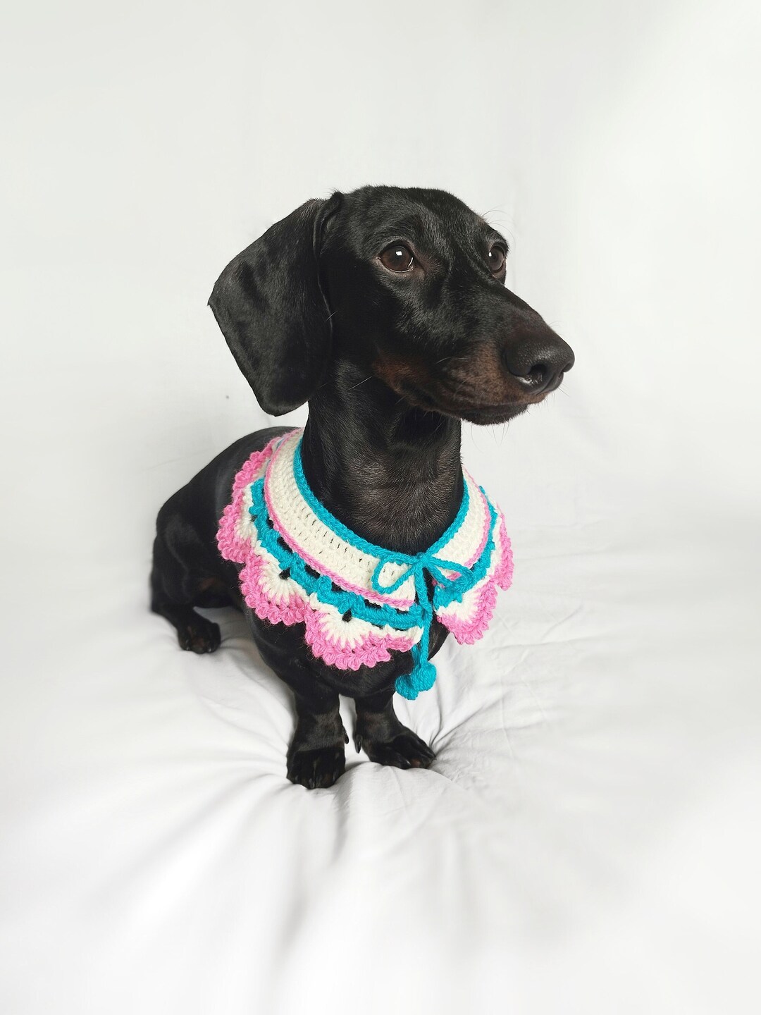 Crochet Lace Pet Collar Dog Lace Collar Dachshund Pink - Etsy