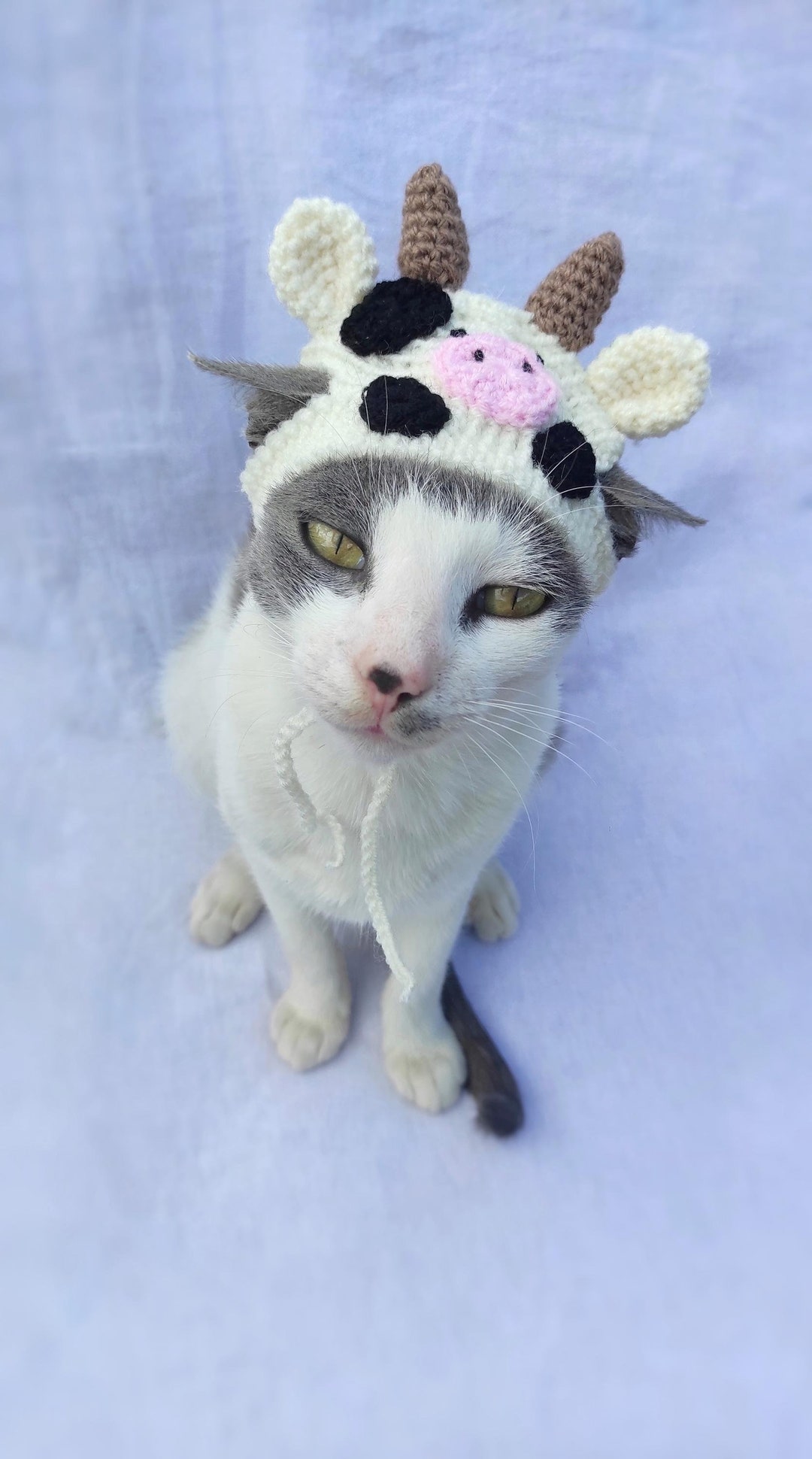 Cow Hat for Cat, Cow Pet Hat, Halloween Cow Pet Costume, Halloween ...