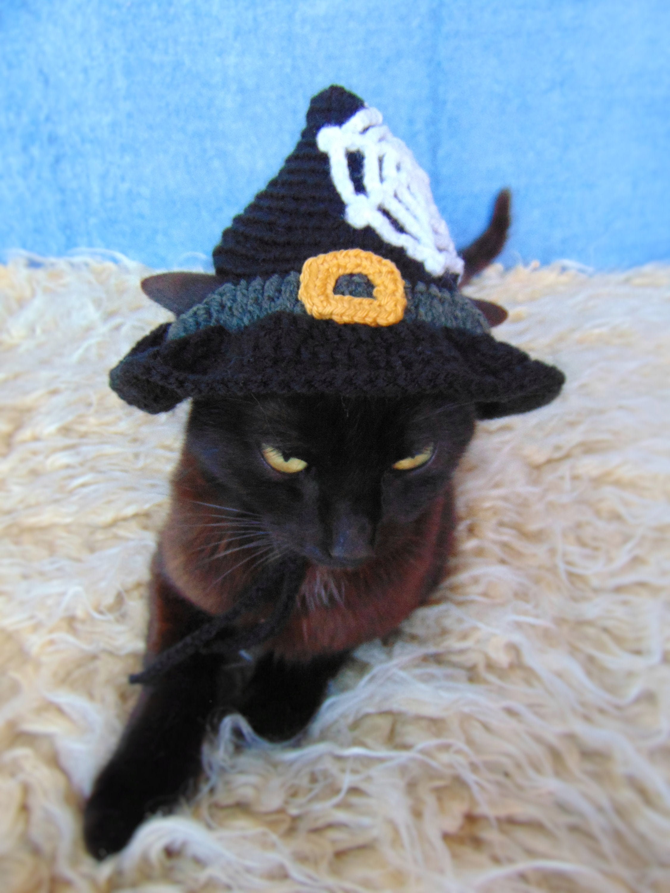Witch Hat for Cat, Halloween Pet Costume, Spider Web Witch Hat for ...