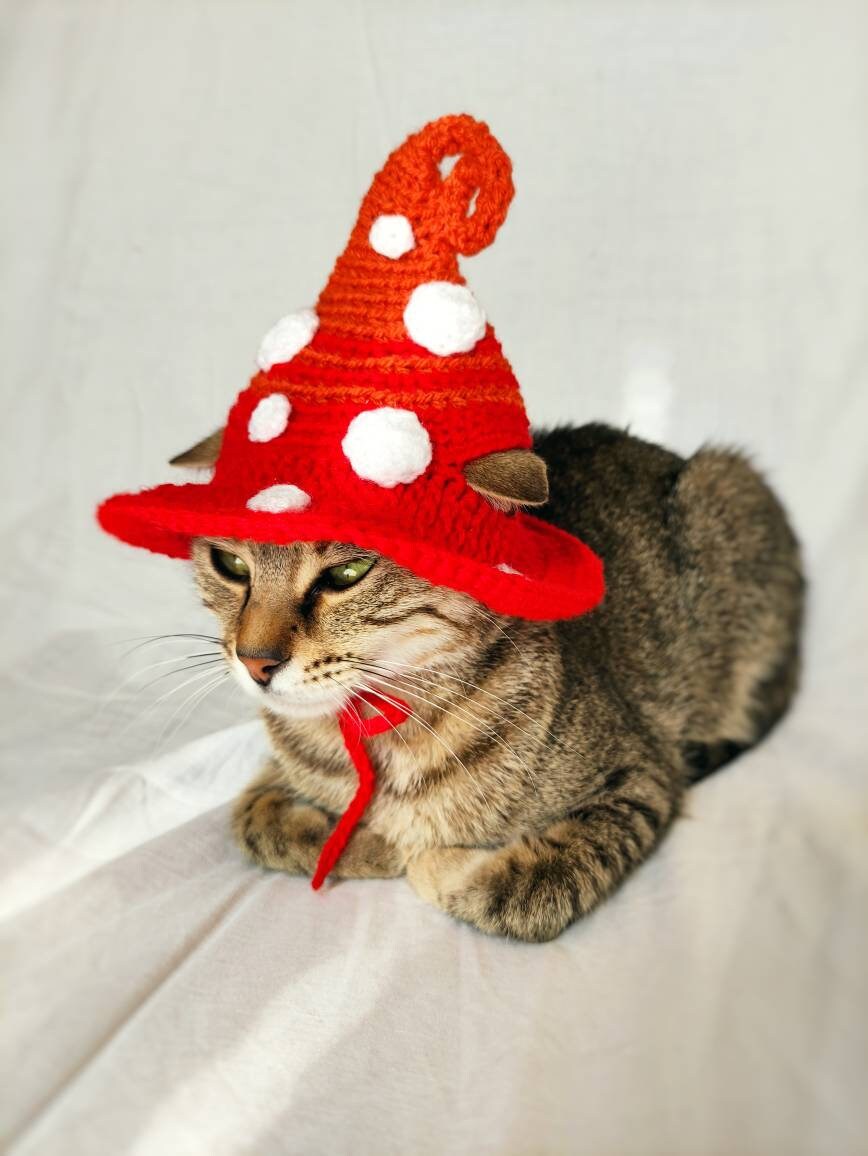 Mushroom Hat for Cat, Fairy Pet Costume,halloween Mushroom Forest ...